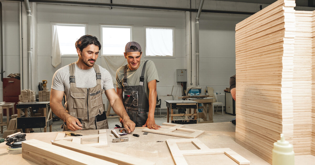Ventajas de usar madera poplar en la producción… | Maderas La Misión