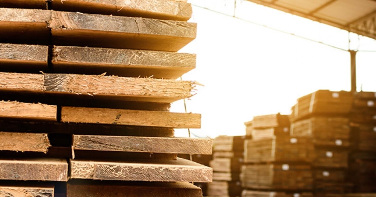 Encino blanco (roble blanco) corte plano o rallado | Maderas La Misión